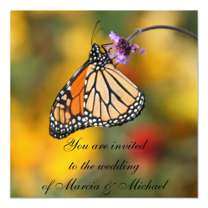 Monarch Butterfly Invitations | Zazzle.com