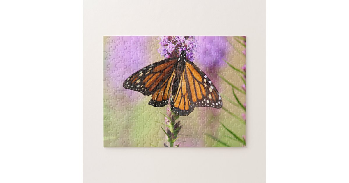 Monarch butterfly jigsaw puzzle | Zazzle