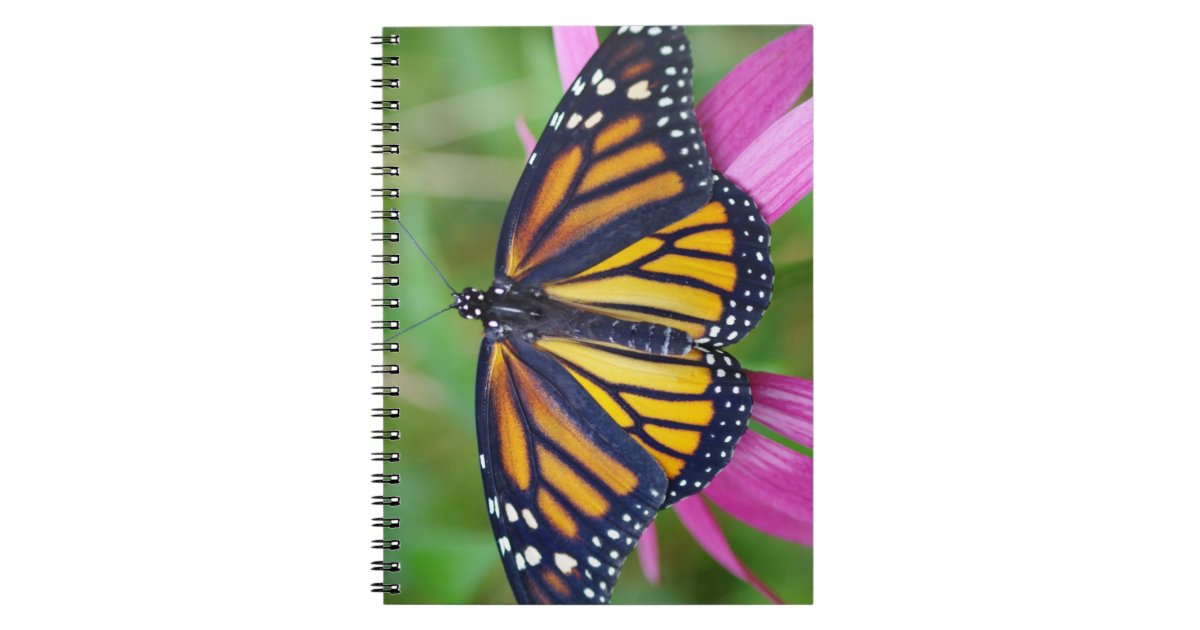 Monarch Butterfly Journal | Zazzle