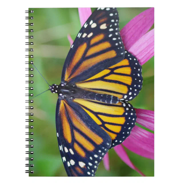 Monarch Butterfly Journal | Zazzle