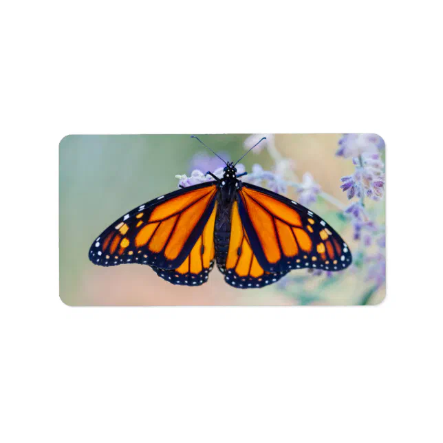 Monarch Butterfly Label | Zazzle
