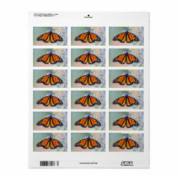 Monarch Butterfly Label | Zazzle