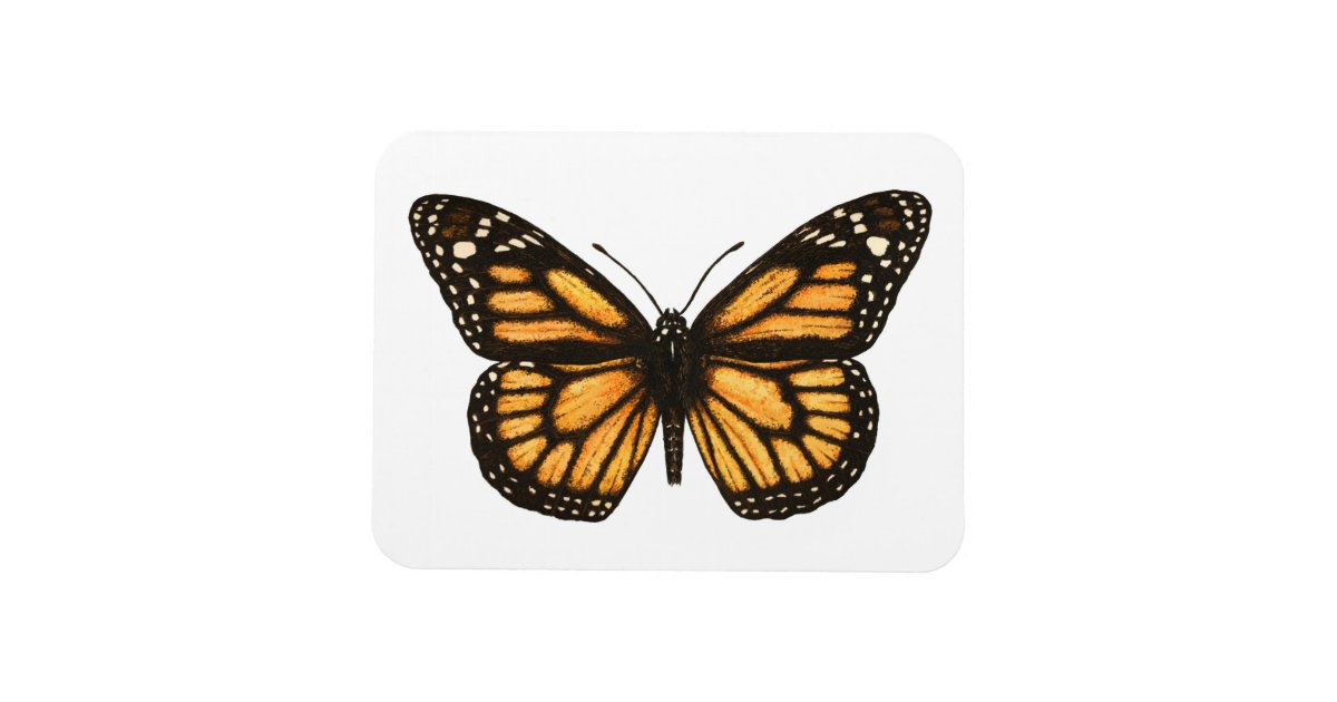 Monarch butterfly magnet | Zazzle