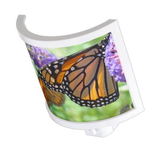 Monarch Butterfly Night Lights Monarchs nightlight | Zazzle