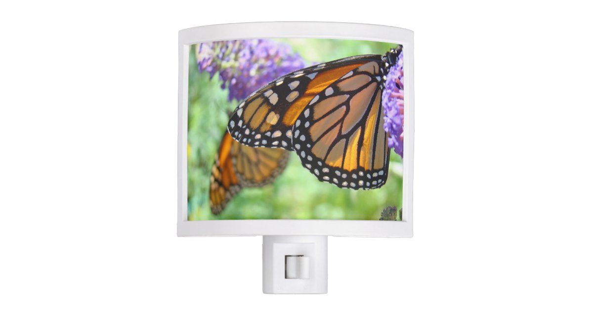 Monarch Butterfly Night Lights Monarchs nightlight | Zazzle