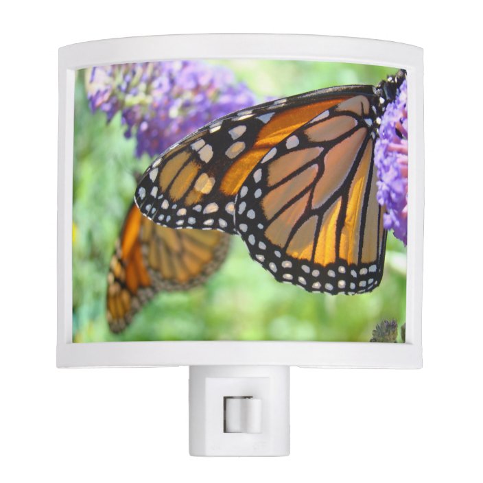Monarch Butterfly Night Lights Monarchs nightlight | Zazzle.com