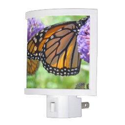 Monarch Butterfly Night Lights Monarchs nightlight | Zazzle