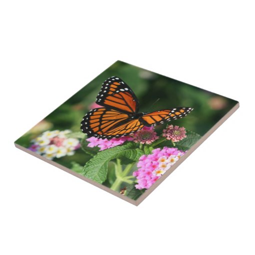 Monarch Butterfly on Lantana Flowers.Ceramic Tile | Zazzle
