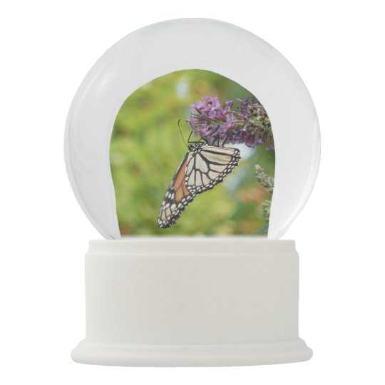 Monarch Butterfly on Purple Butterfly Bush Snow Globe | Zazzle.com