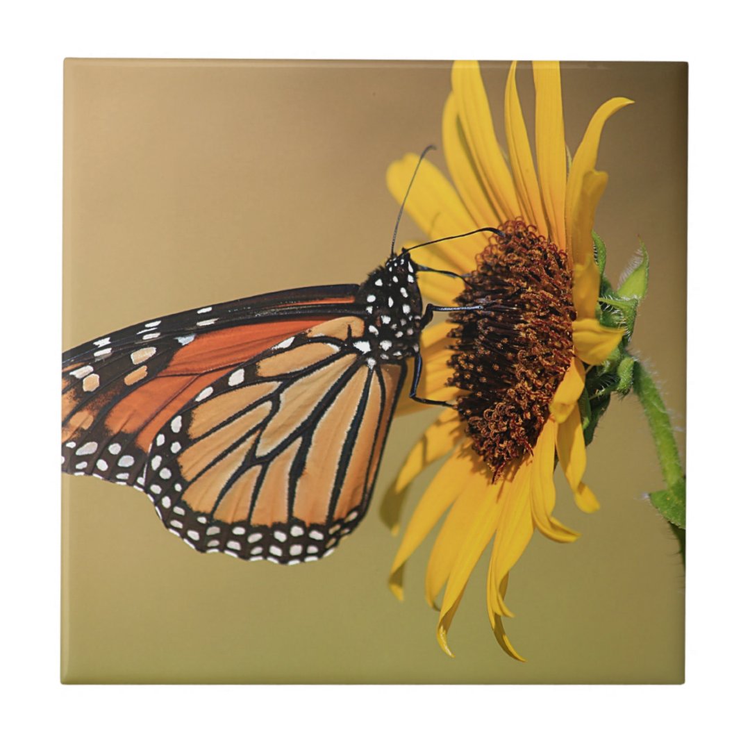 Monarch Butterfly on Sunflower Ceramic Tile | Zazzle