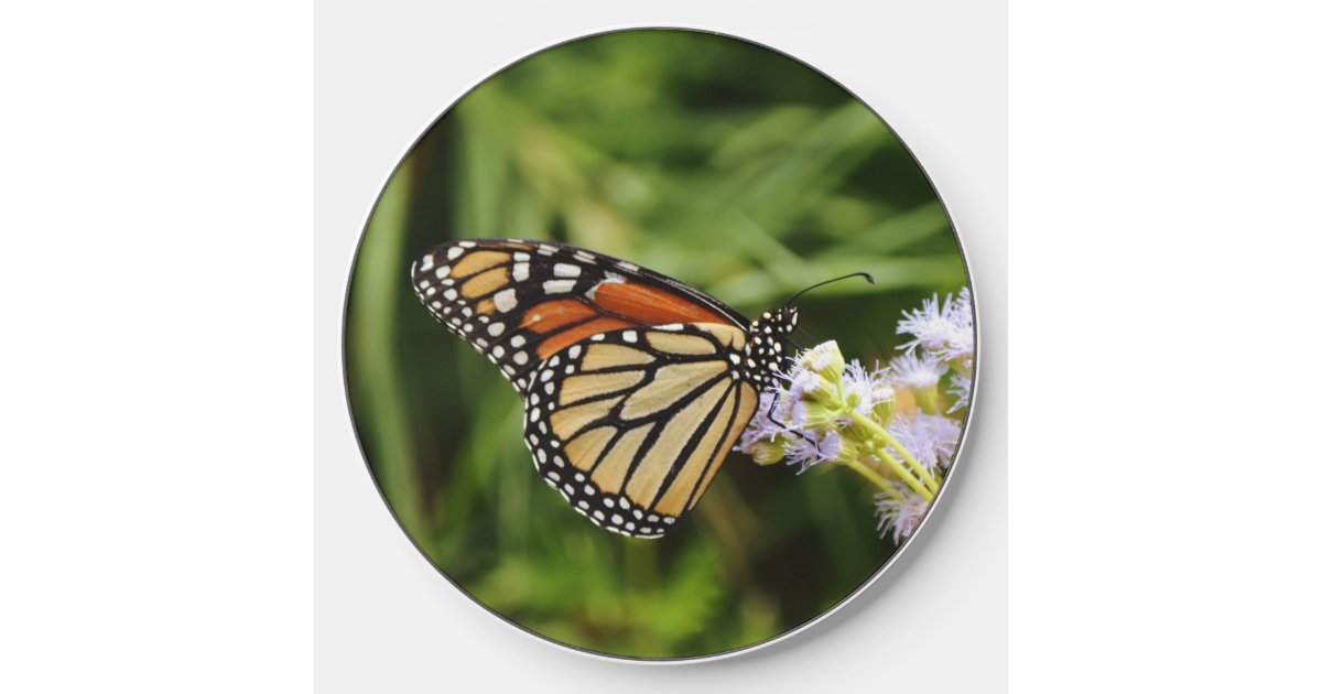 Monarch Butterfly on Wildflowers Charger | Zazzle