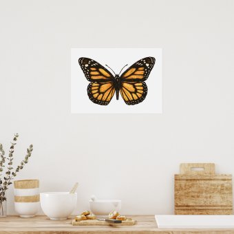 Monarch butterfly poster | Zazzle