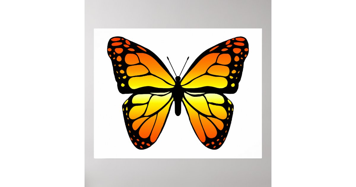 Monarch Butterfly Poster | Zazzle