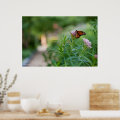 Monarch Butterfly Poster | Zazzle