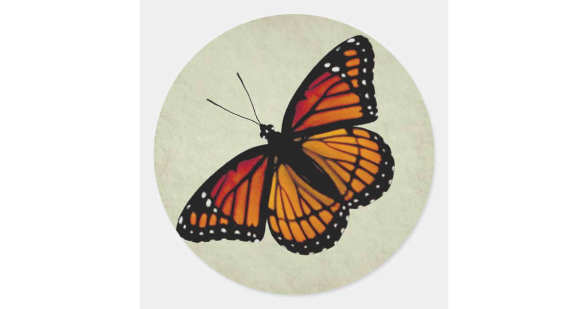 Monarch Butterfly Sticker | Zazzle
