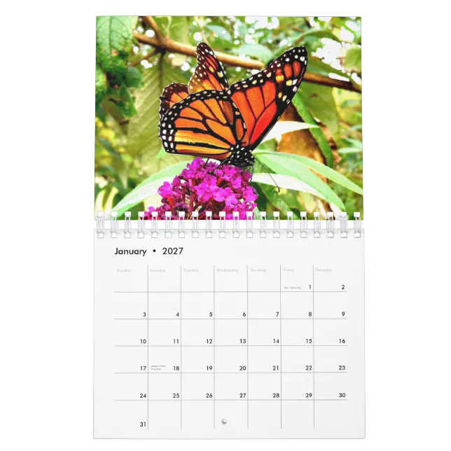 Monarch Butterfly Wall Calendar | Zazzle