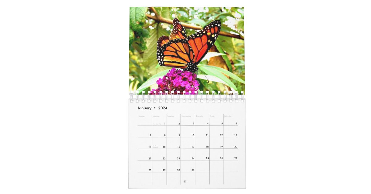 Monarch Butterfly Wall Calendar | Zazzle