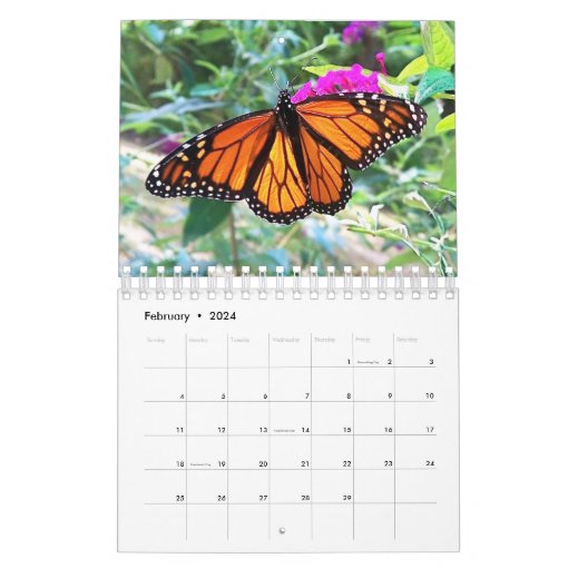 Monarch Butterfly Wall Calendar | Zazzle