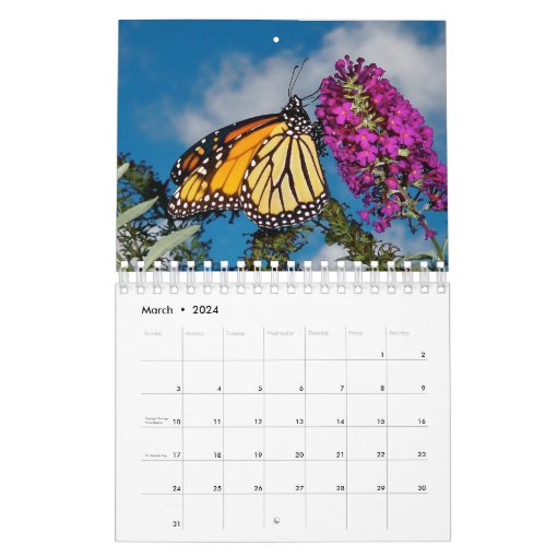 Monarch Butterfly Wall Calendar | Zazzle