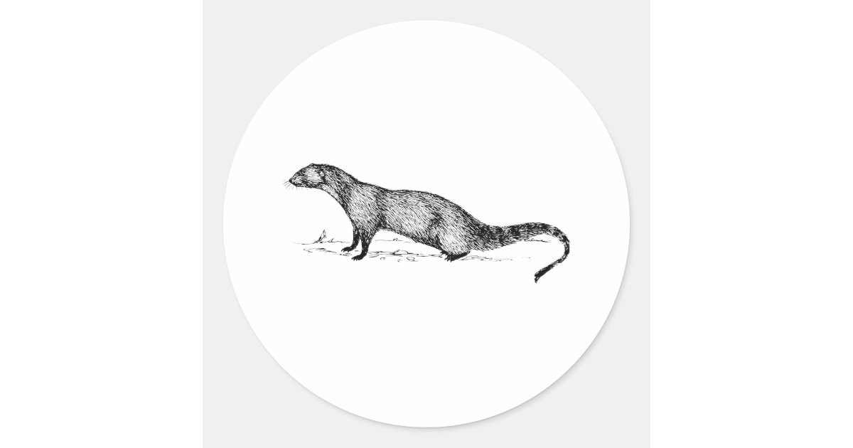 Mongoose Classic Round Sticker | Zazzle