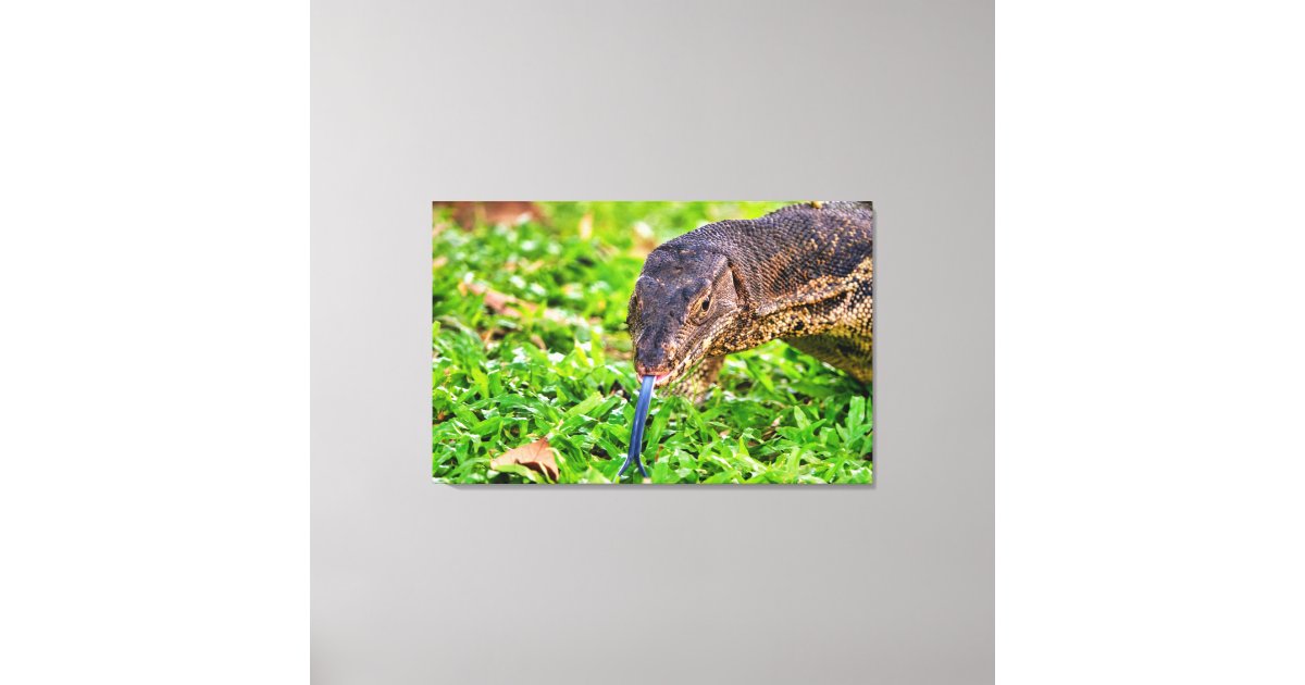 Monitor Lizard Canvas Print | Zazzle