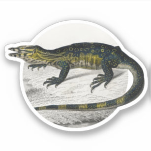 Monitor Lizard vinyl decal stickers/ tank sticker/ name sticker ...