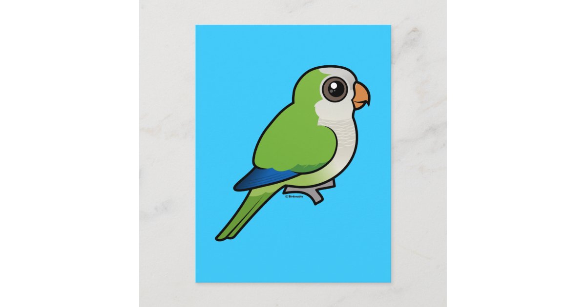 Monk Parakeet Postcard | Zazzle