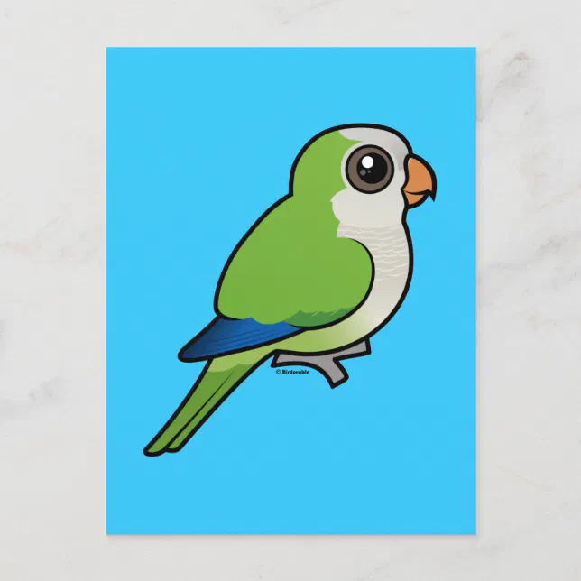 Monk Parakeet Postcard | Zazzle