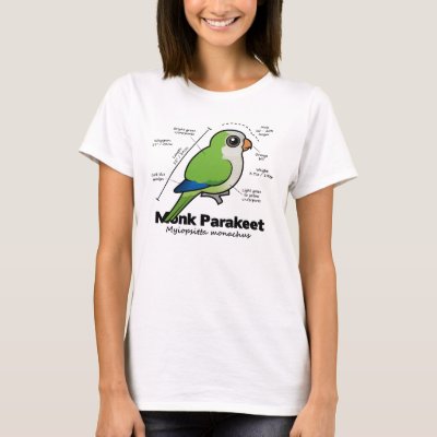 Cute Monk Parakeet by Birdorable