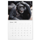 Monkey Business Calendar | Zazzle