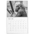 Monkey Business Calendar | Zazzle