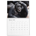 Monkey Business Calendar | Zazzle