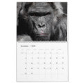 Monkey Business Calendar | Zazzle