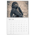 Monkey Business Calendar | Zazzle
