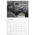 Monkey Business Calendar | Zazzle