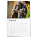 Monkey Business Calendar | Zazzle