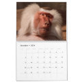 Monkey Business Calendar | Zazzle