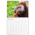 Monkey Business Calendar | Zazzle