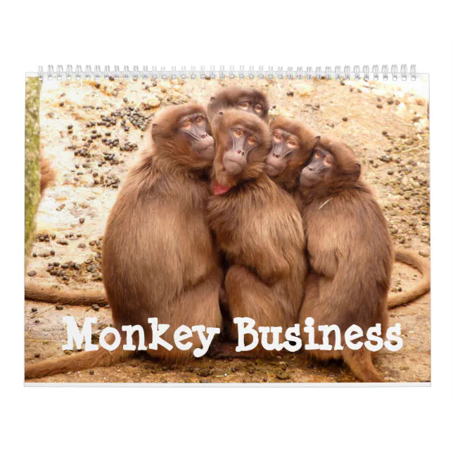Monkey Business Calendar | Zazzle