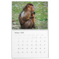 Monkey Business Calendar | Zazzle