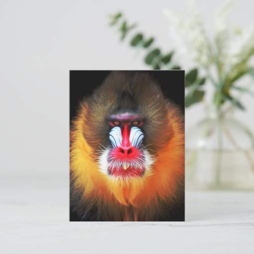 monkey face postcard | Zazzle