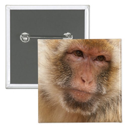 Monkey Face Square Pin | Zazzle