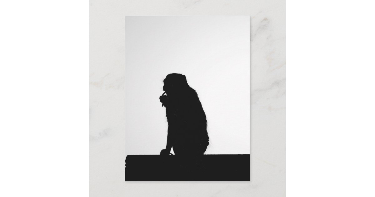 Monkey flossing silhouette photo postcard | Zazzle