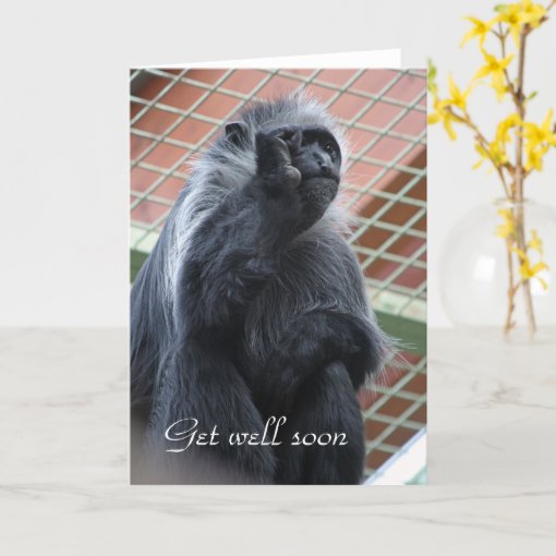 Monkey get well soon card | Zazzle