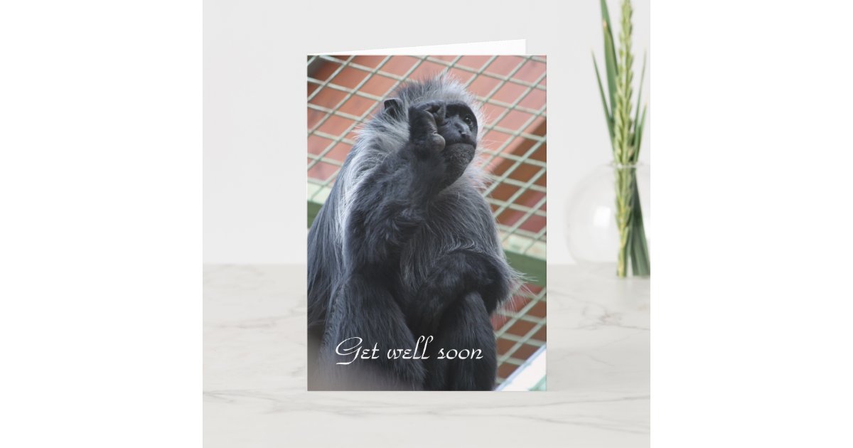 Monkey get well soon card | Zazzle