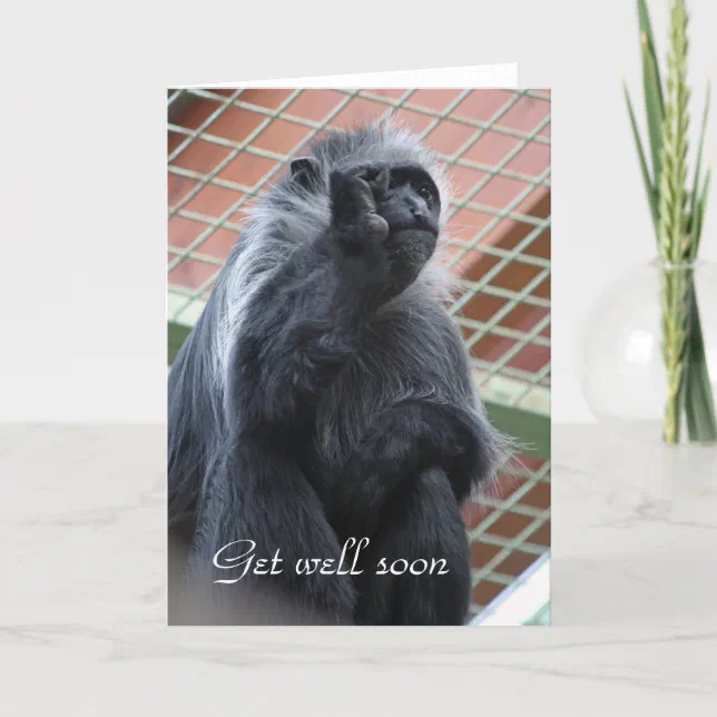 Monkey get well soon card | Zazzle