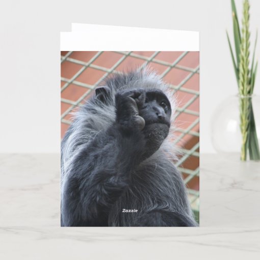 Monkey get well soon card | Zazzle