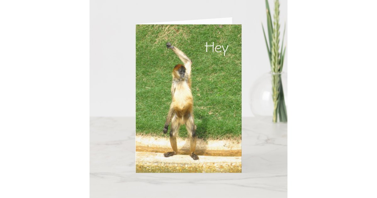 Monkey greeting card | Zazzle