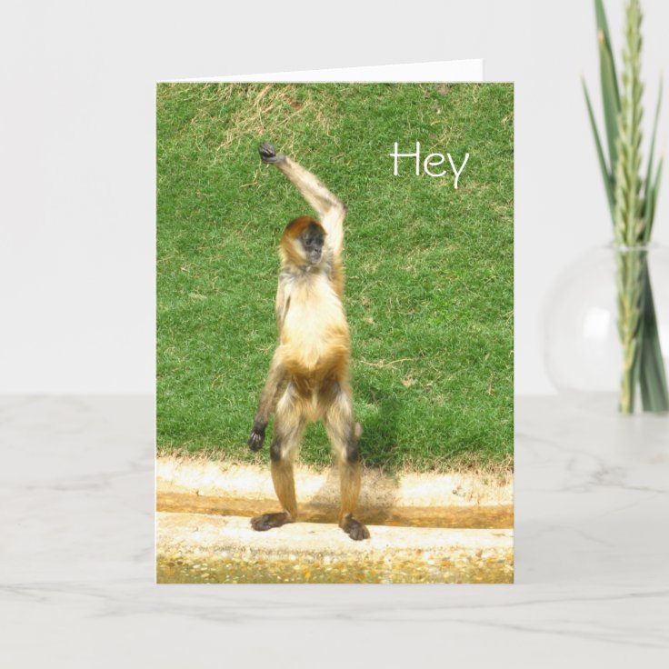 Monkey greeting card | Zazzle