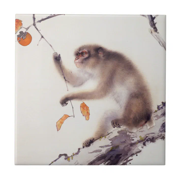 Monkey in a Persimmon Tree Ceramic Tile | Zazzle